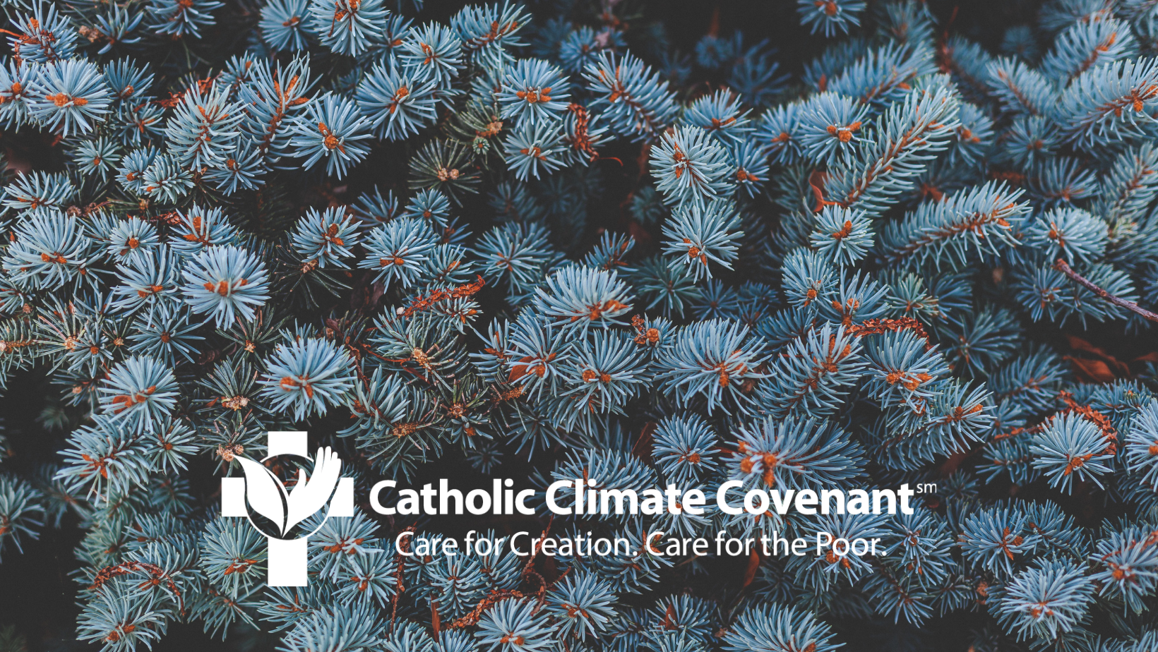 August 2022 Newsletter